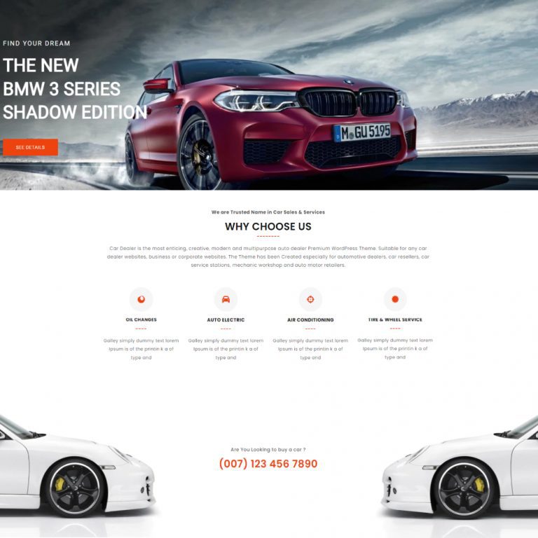 SalonCarify - Free Car Salon PageFly Shopify Template - Age Themes